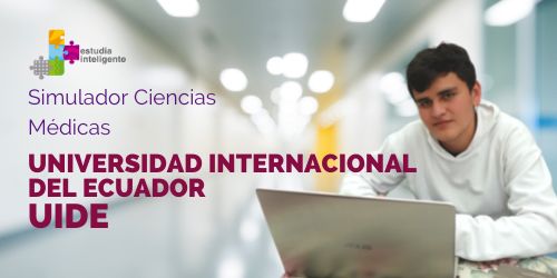 Estudia Inteligente Virtual